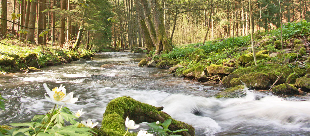 Limbach | Startseite