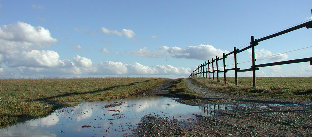 Limbach | Startseite